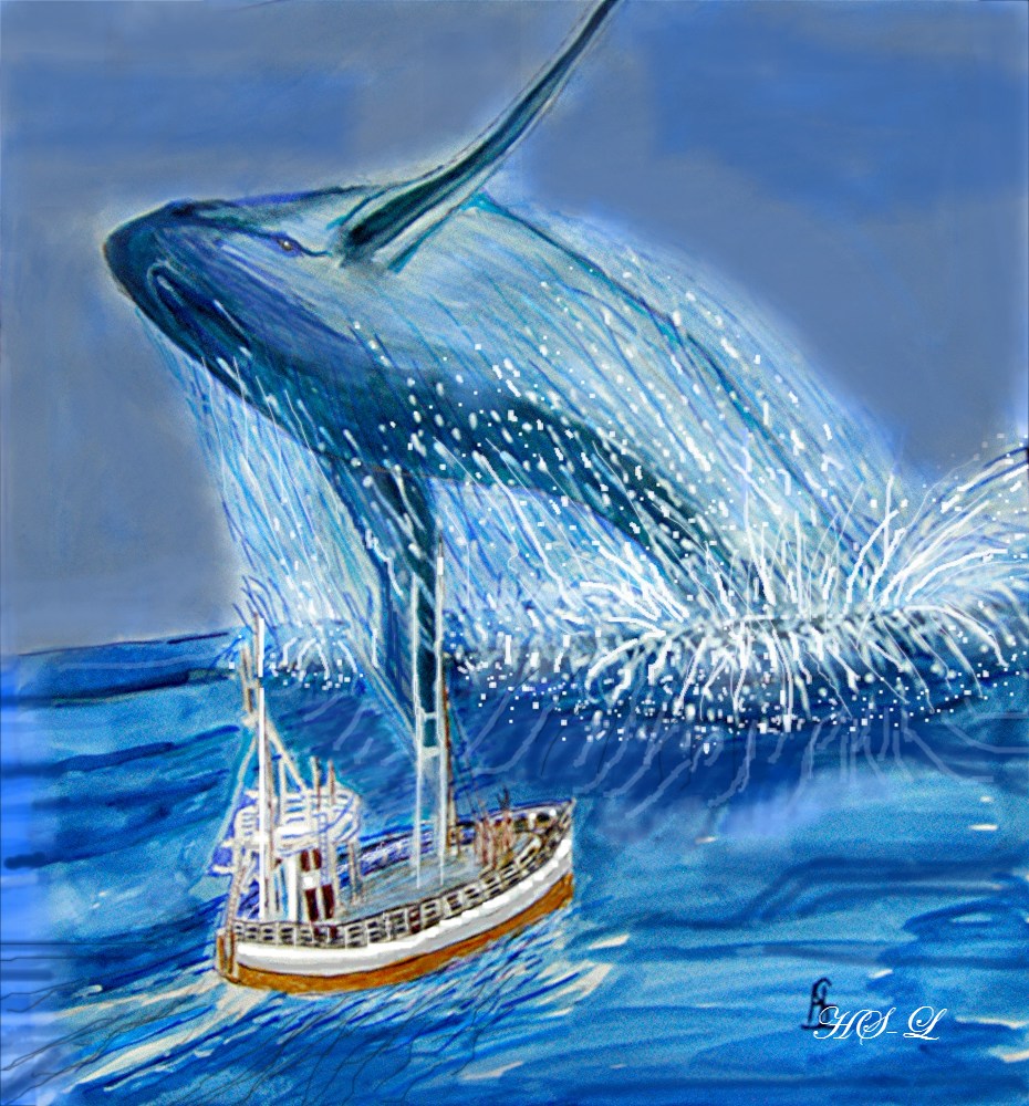 Der Blauwal springt Foto & Bild | tiere, natur Bilder auf fotocommunity