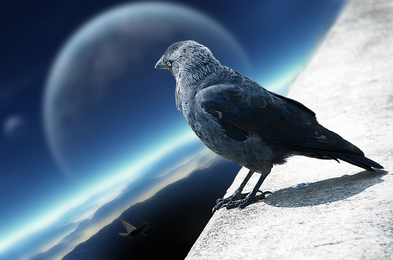 Der Blick Foto & Bild | fotomontage, composing , composing Bilder auf fotocommunity