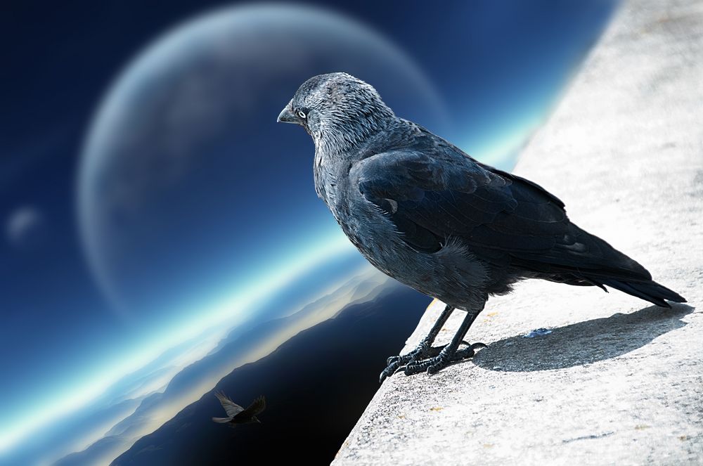 Der Blick Foto & Bild | fotomontage, composing , composing Bilder auf fotocommunity