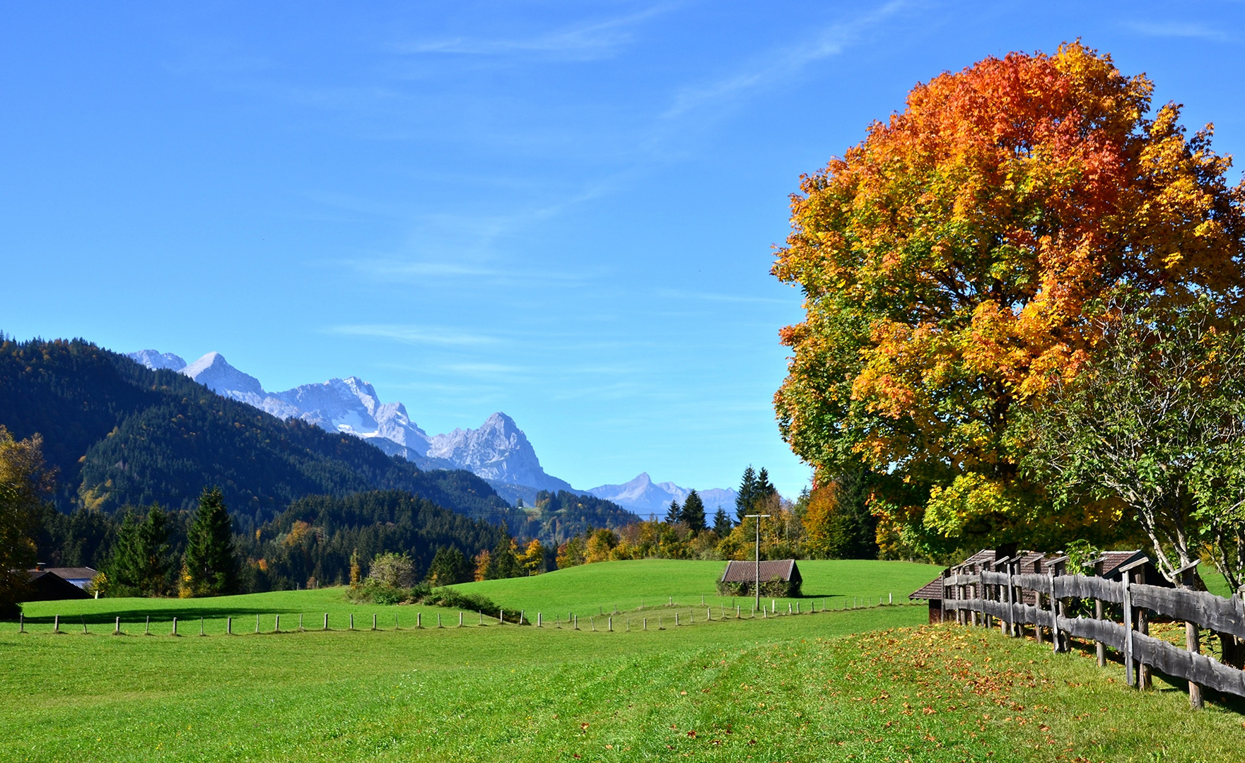 Der Blick Foto & Bild | world, natur, herbst Bilder auf fotocommunity