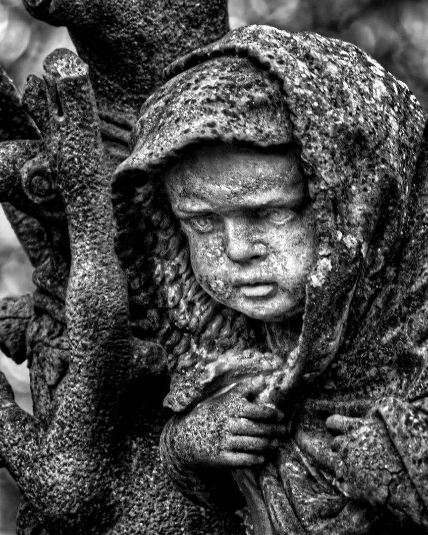 Der Blick Foto & Bild | stillleben, projekte, stillleben "alter meister ...