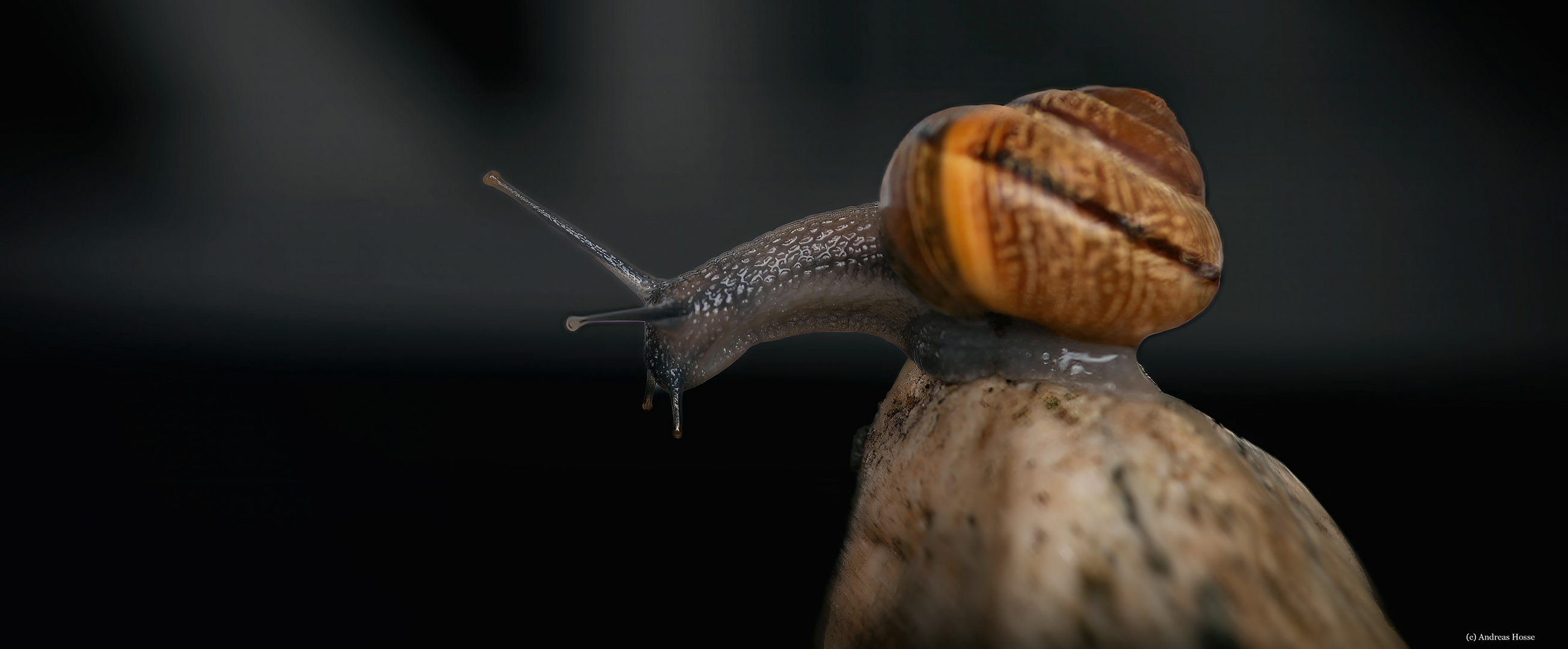 Der Blick ins Tal Foto & Bild | natur, tiere, wildlife Bilder auf fotocommunity