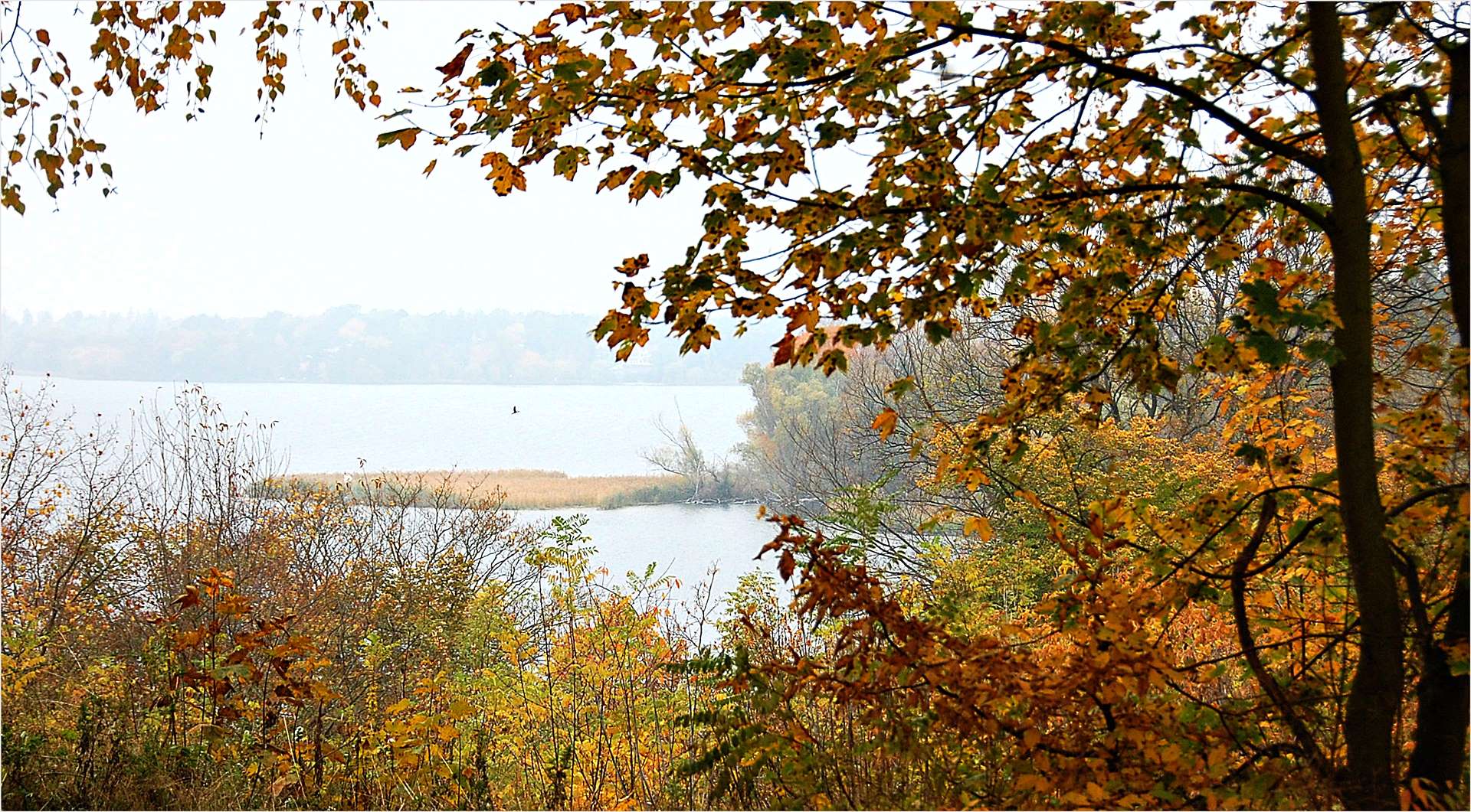 der Blick über die Havel Foto & Bild | natur, herbst, landschaft Bilder ...