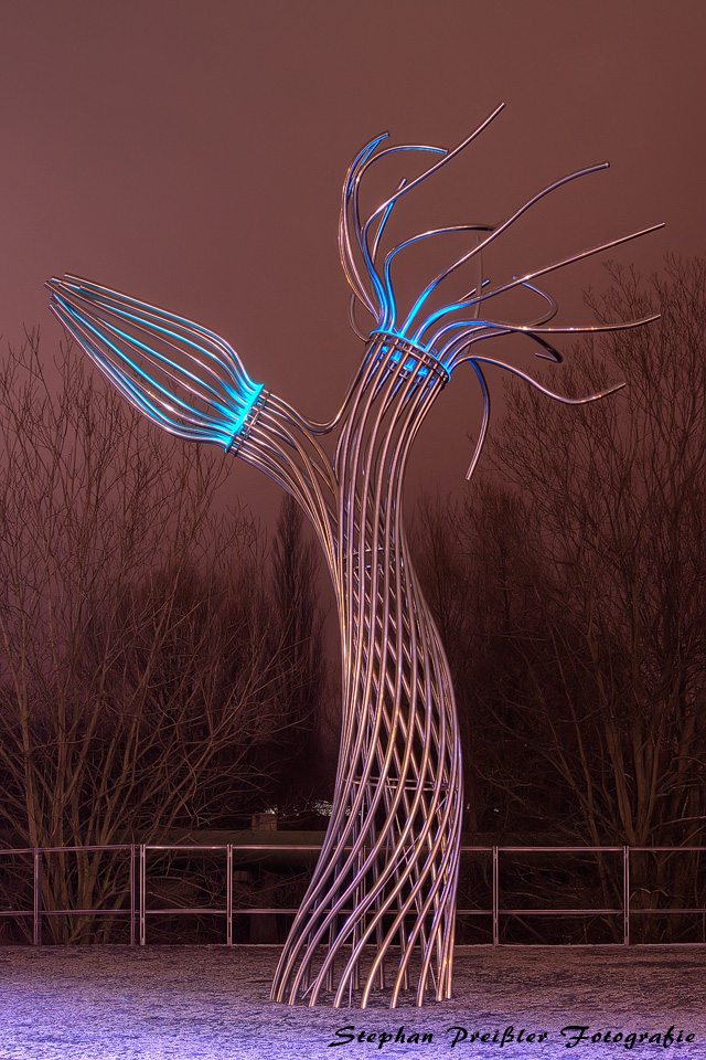 Der blühende "Spross" Foto & Bild | deutschland, europe, thüringen ...