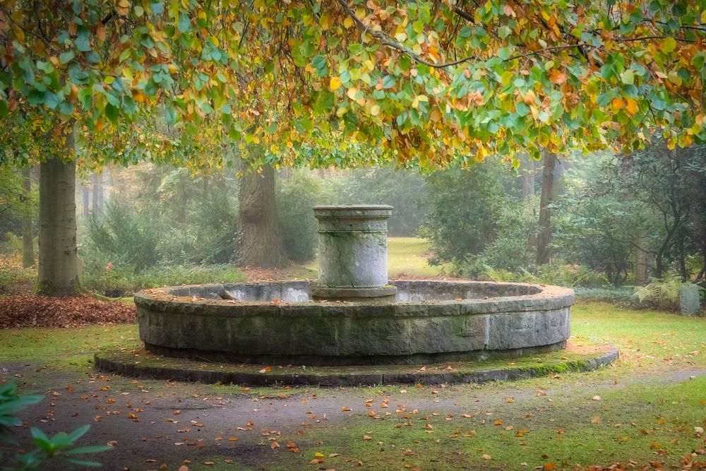 Der Brunnen Foto & Bild | wasser, bäume, grab Bilder auf fotocommunity