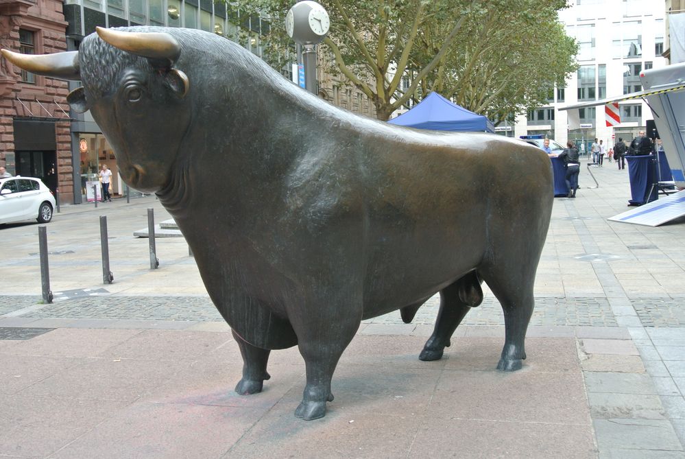 Der Bulle Foto & Bild | deutschland, europe, hessen Bilder auf ...