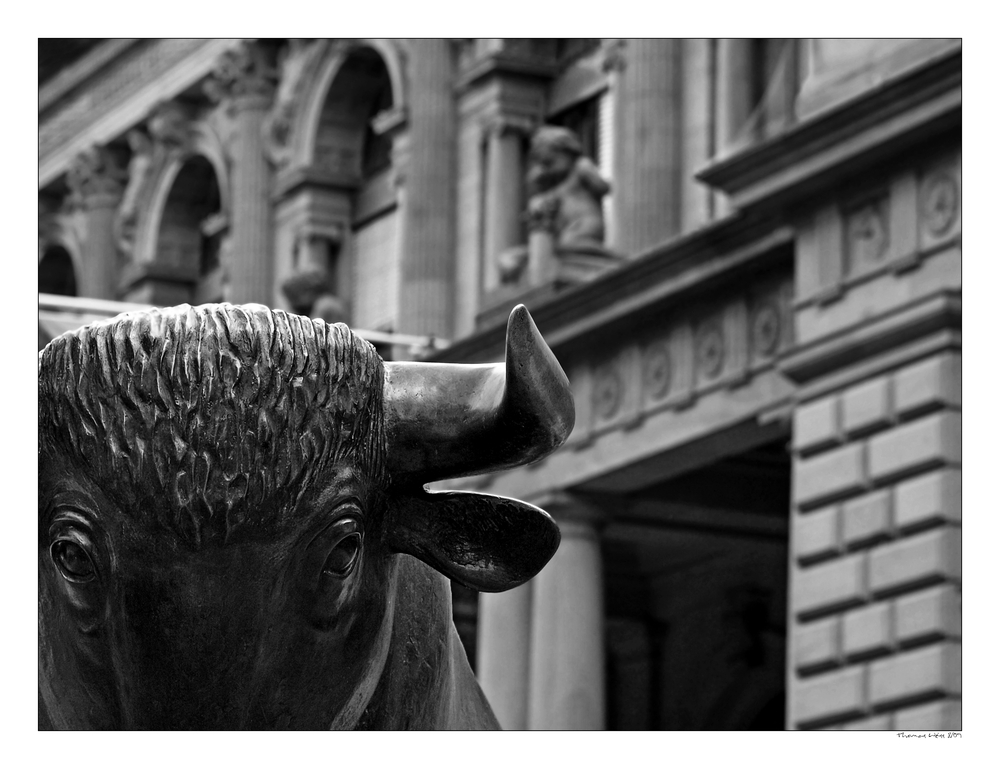 Der Bulle Foto & Bild | fotokunst, monochrome fine art, [ ffm ] Bilder ...