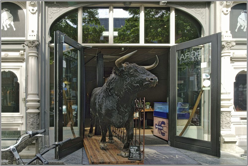 Der Bulle ist los..! Foto & Bild | reportage dokumentation, europe ...