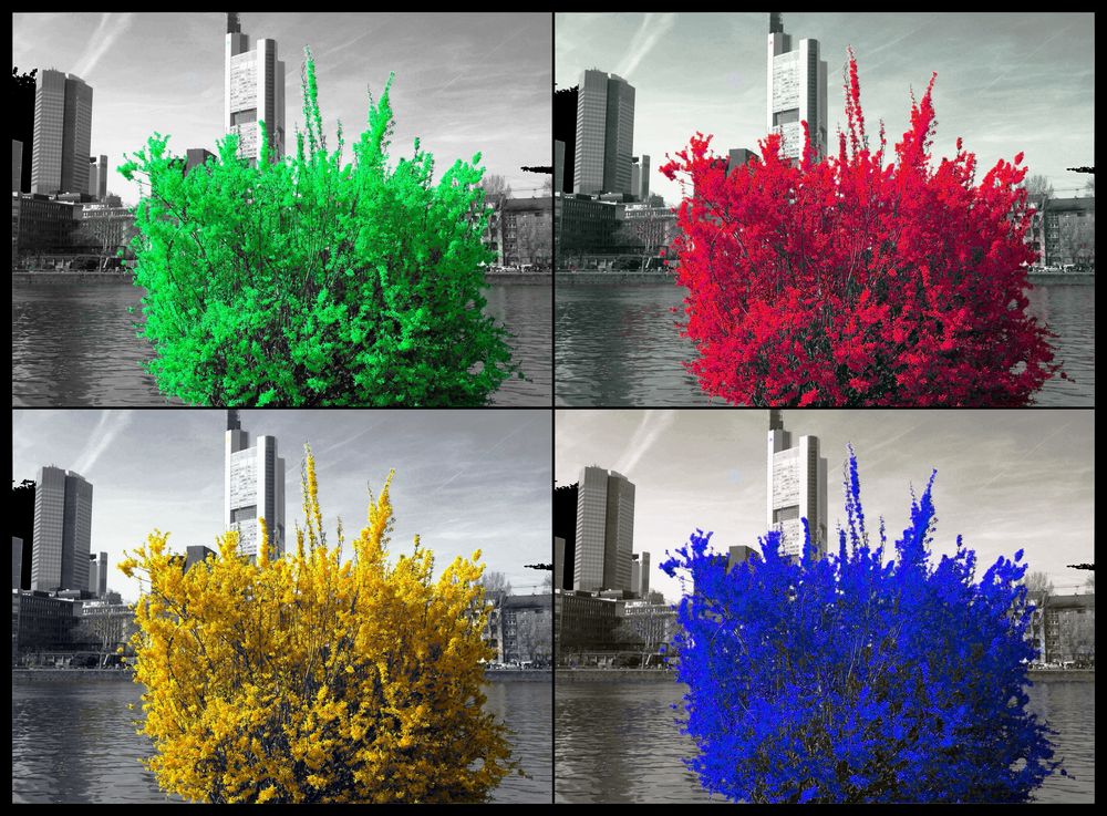 Der Busch Foto & Bild | landschaft, kulturlandschaften, natur Bilder ...