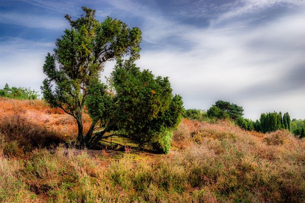 Sommer Bilder & Fotos