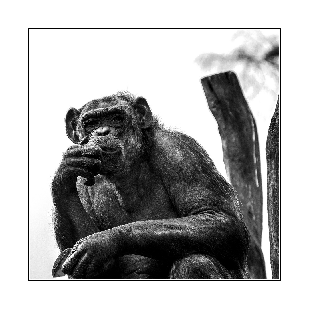 der Denker Foto & Bild | fotokunst, monochrome fine art, lanscapes and ...