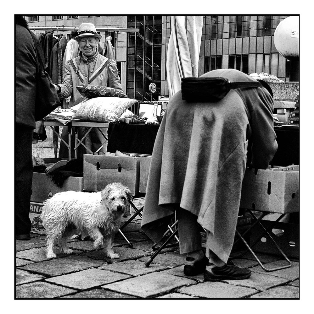 Der dreibeinige Hund ! Foto & Bild | streetfotografie mit menschen, projekte, 5 - schwarzweißer ...