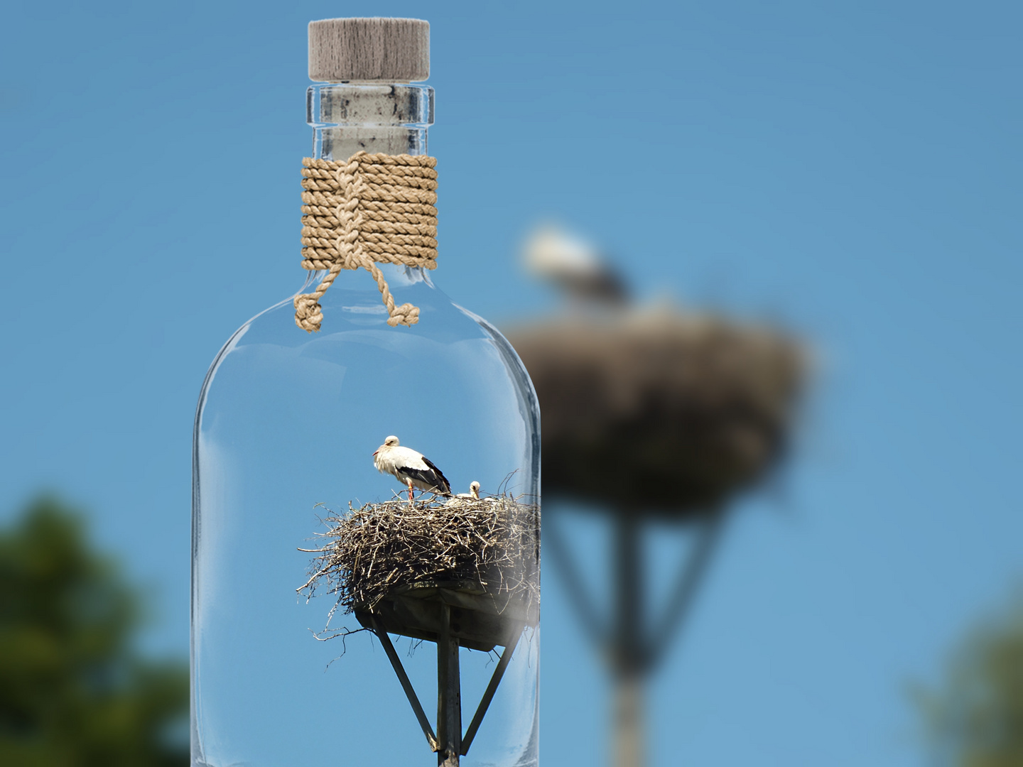 Der Durchblick Foto & Bild | projekte, 4 - donnerstag mit durchblick, thementage Bilder auf ...