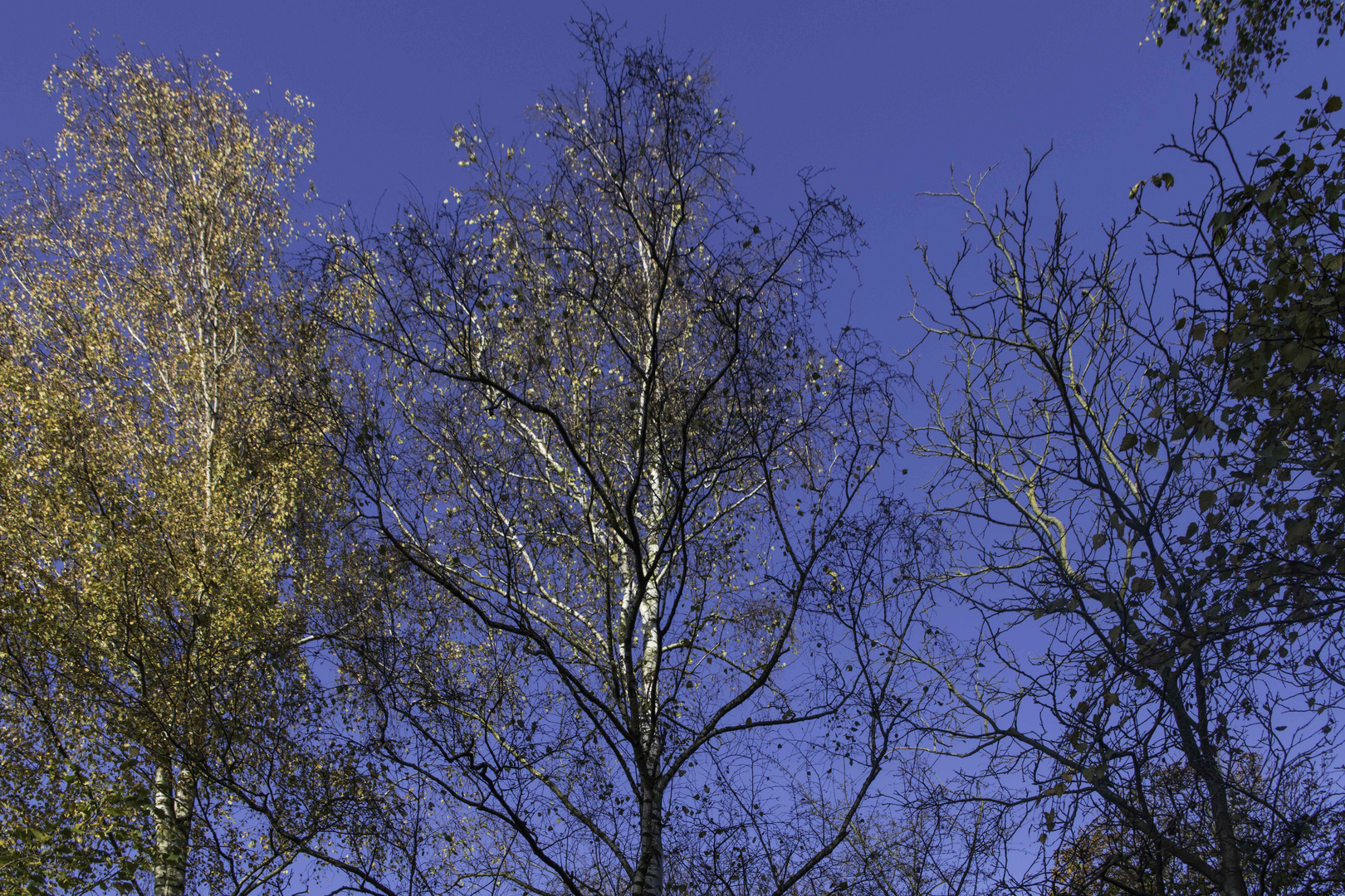 Der Durchblick auf den Himmel ist nun sicher Foto & Bild | projekte, 4 - donnerstag mit ...