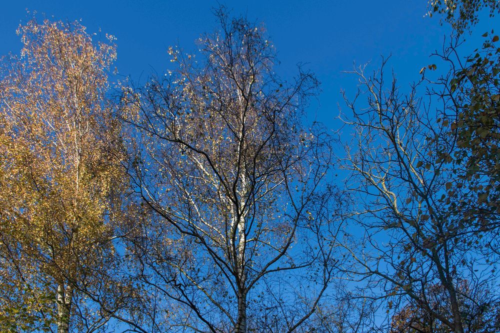 Der Durchblick auf den Himmel ist nun sicher Foto & Bild | projekte, 4 - donnerstag mit ...