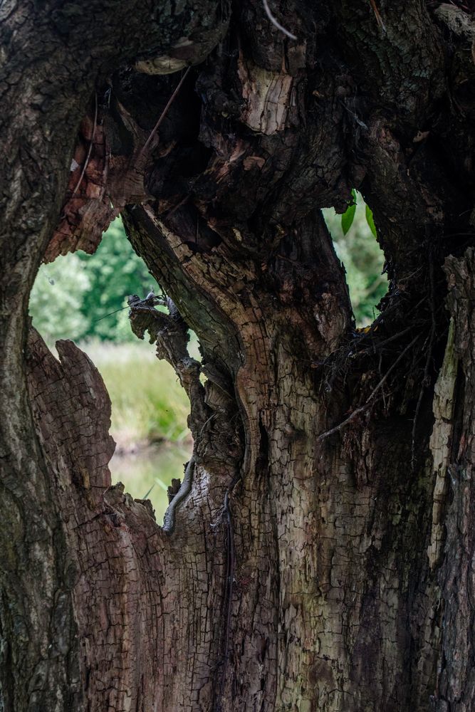 Der Durchblick Foto & Bild | projekte, 4 - donnerstag mit durchblick, thementage Bilder auf ...