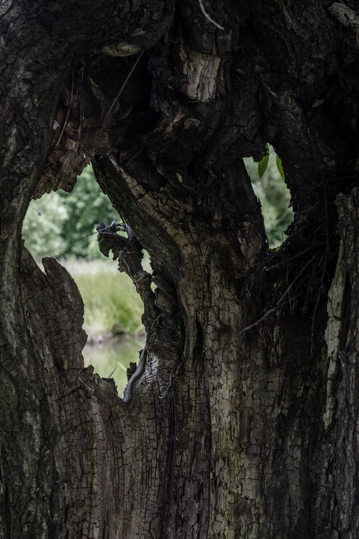 Der Durchblick Foto & Bild | projekte, 4 - donnerstag mit durchblick, thementage Bilder auf ...