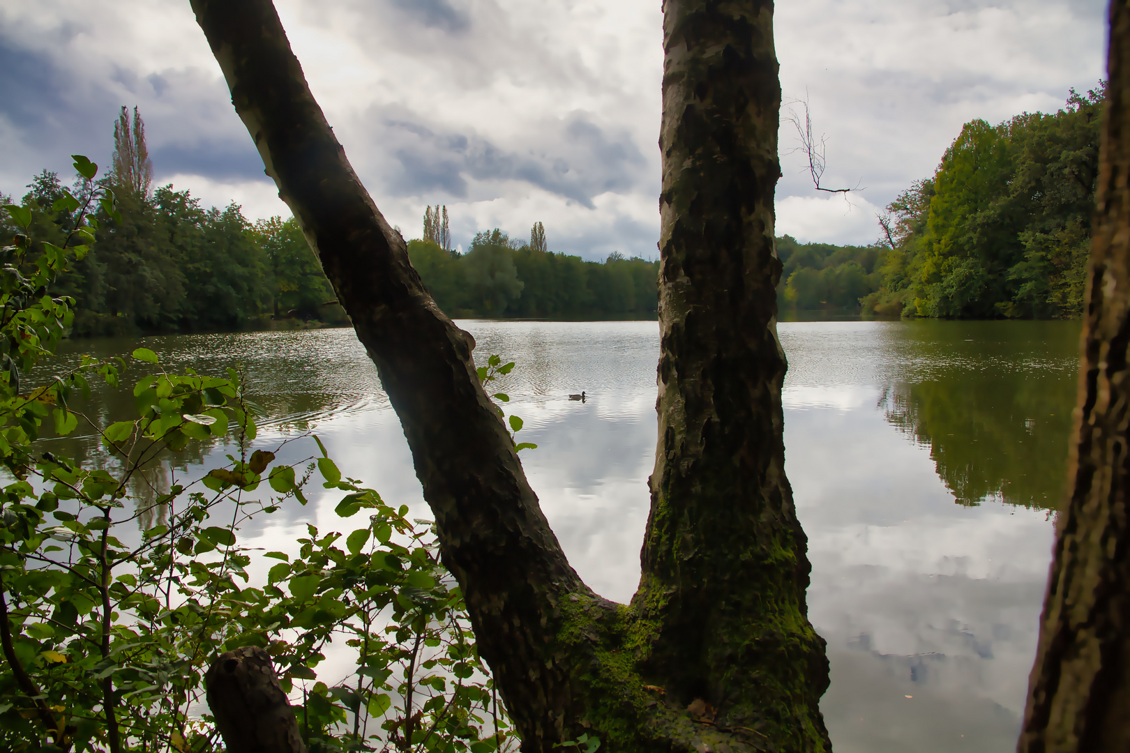 Der Durchblick zum Bensberger See II Foto & Bild | landschaft, bach, fluss & see, see, teich ...