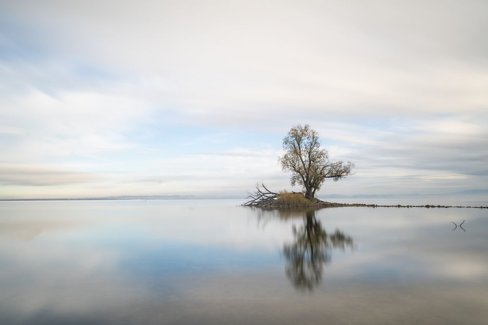 Der einsame Baum Foto & Bild | wasser, natur, langzeitbelichtung Bilder ...