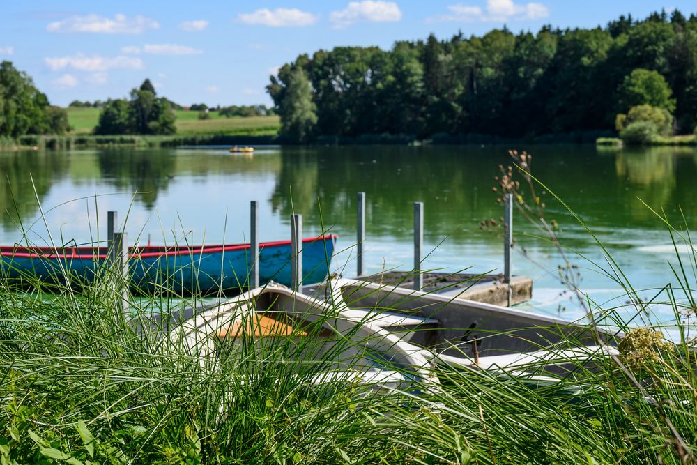 Der Eisenweiher - L'étang du fer Foto & Bild | world, spezial, sommer ...