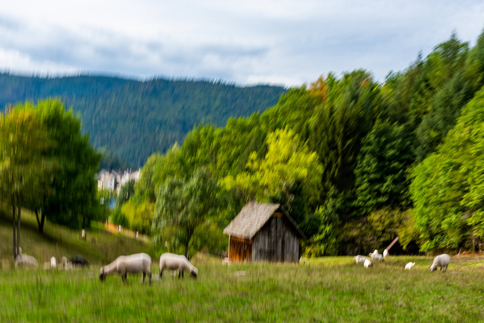 Der elektrische Weidezaun... Foto & Bild | experimente, emotionen ...