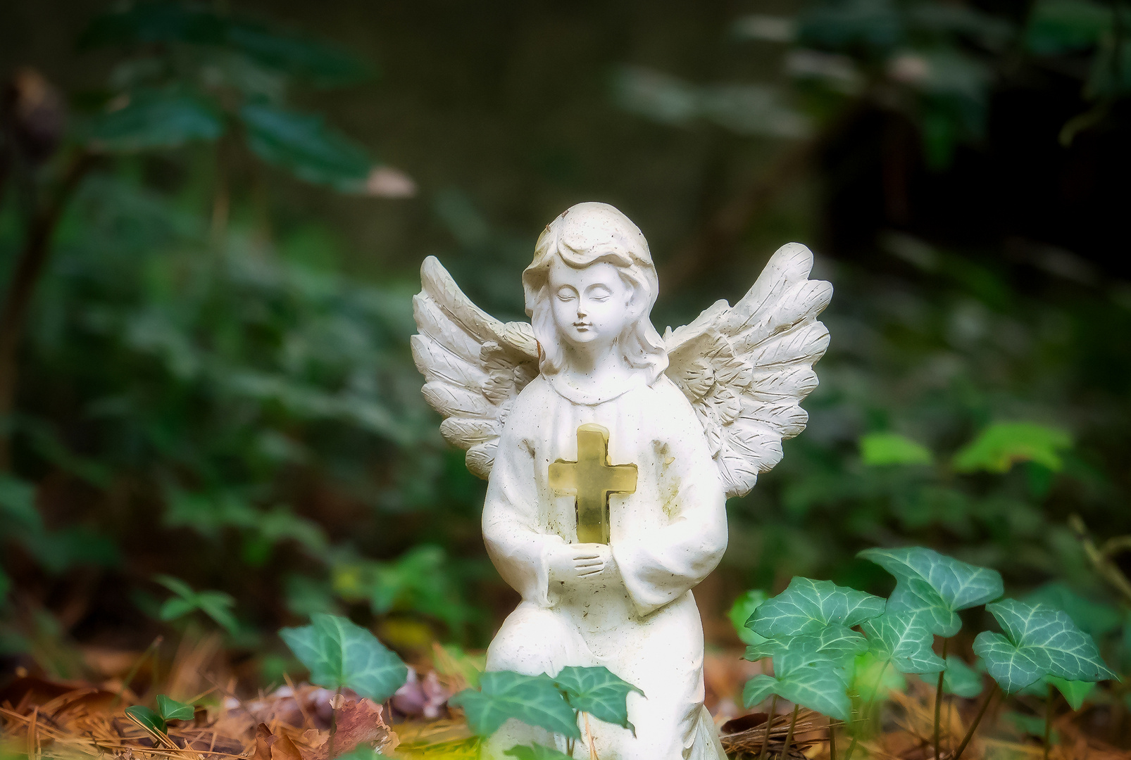 Der Engel Foto & Bild | grab, natur, herbst Bilder auf fotocommunity