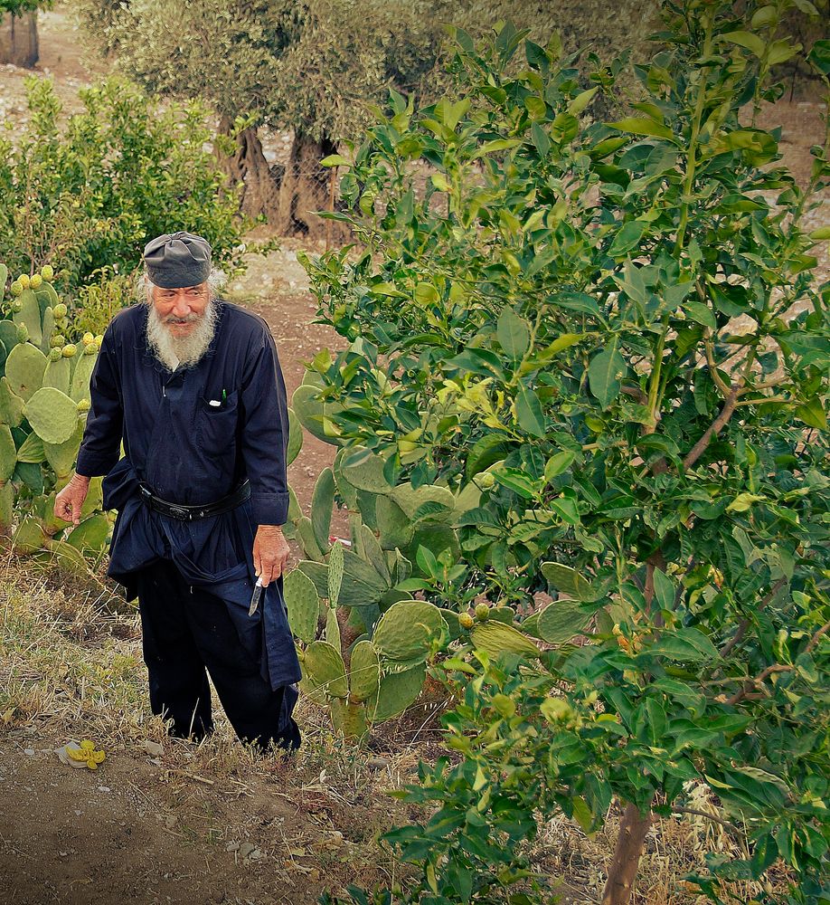 Der Eremit in seinem Klostergarten Foto & Bild | fotos, world ...