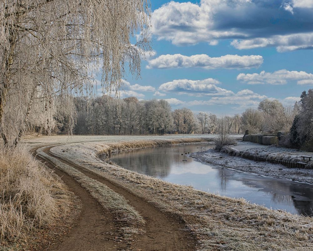 Der erste Frost Foto & Bild | winter, natur, landschaft Bilder auf fotocommunity