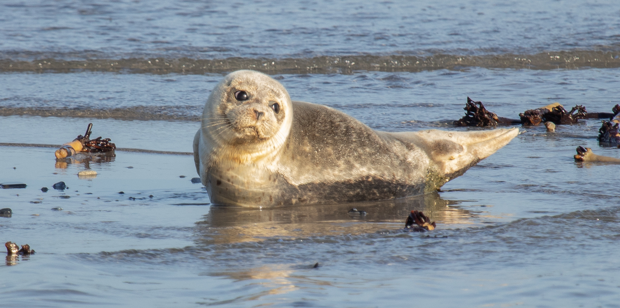 Der erste Nachwuchs Foto & Bild | tiere, wildlife, säugetiere Bilder ... Der erste Nachwuchs Foto & Bild | tiere, wildlife, säugetiere Bilder ...