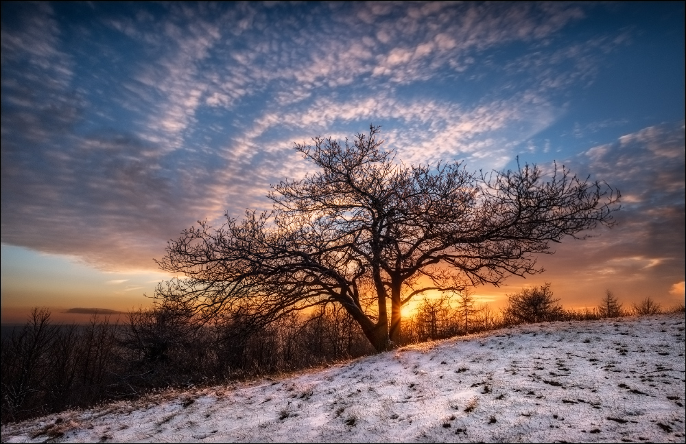 der erste Schnee Foto & Bild | deutschland, europe, nordrhein- westfalen Bilder auf fotocommunity