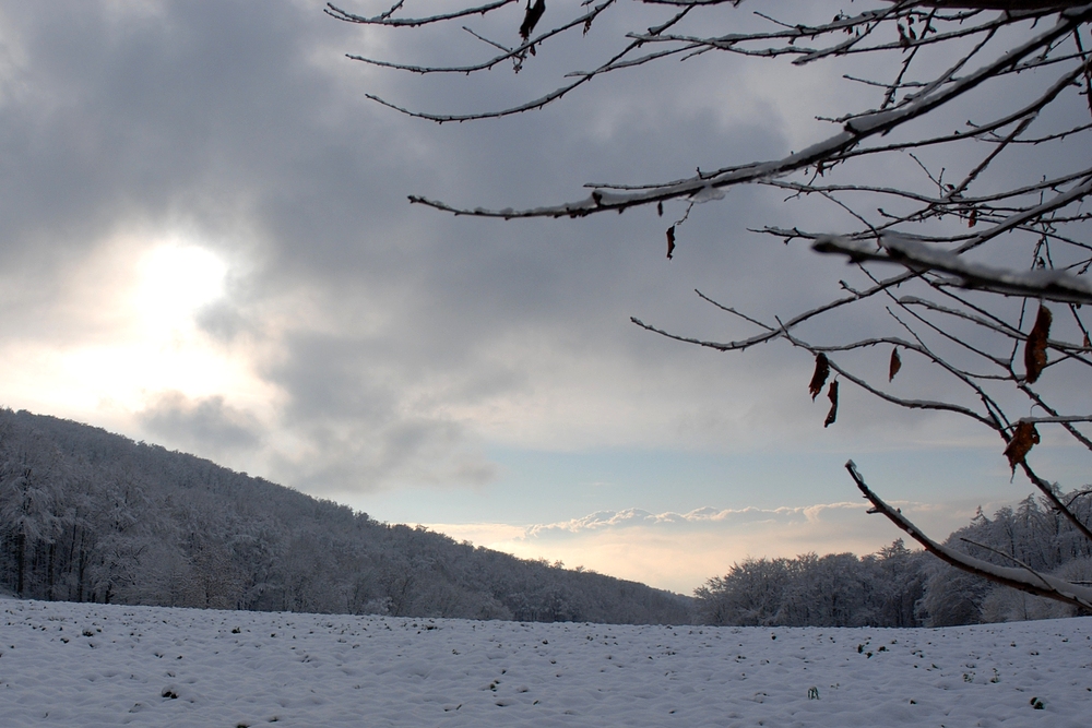 Der erste Schnee :-) Foto & Bild | landschaft, natur Bilder auf fotocommunity