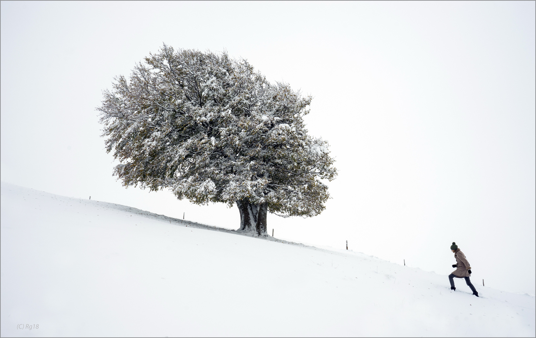 der erste schnee Foto & Bild | deutschland, europe, baden- württemberg Bilder auf fotocommunity