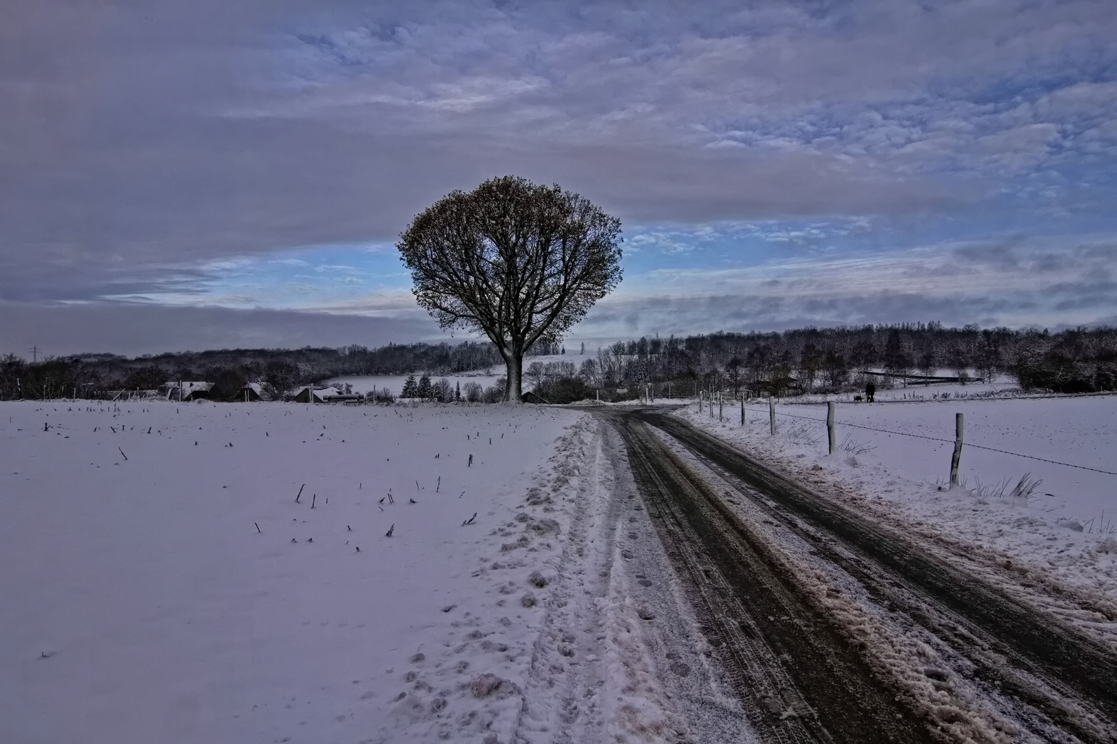 Der erste Schnee Foto & Bild | deutschland, europe, nordrhein- westfalen Bilder auf fotocommunity