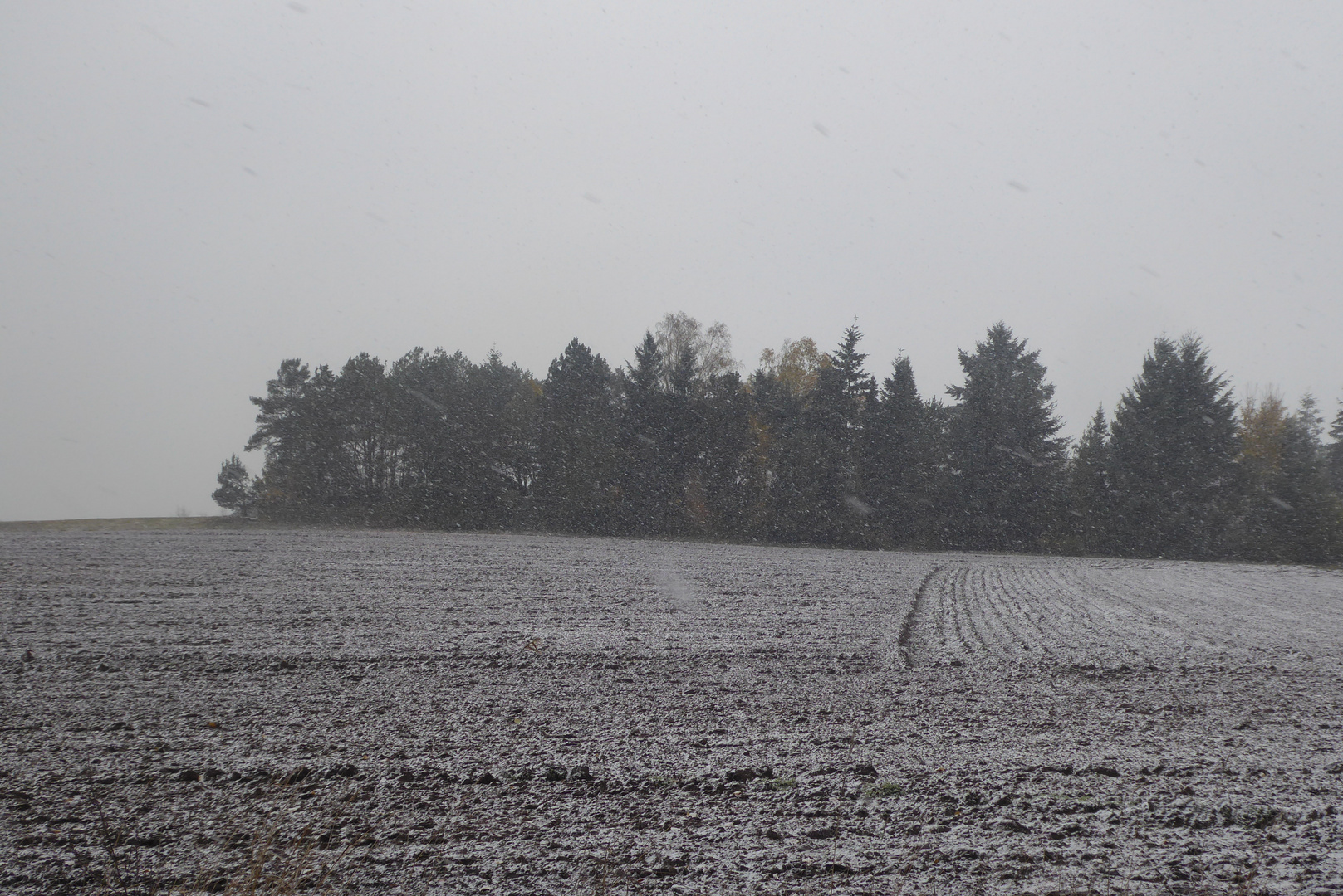 Der erste Schnee Foto & Bild | landschaft, jahreszeiten, winter Bilder auf fotocommunity