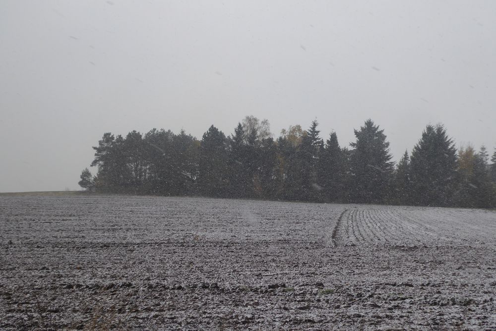 Der erste Schnee Foto & Bild | landschaft, jahreszeiten, winter Bilder auf fotocommunity