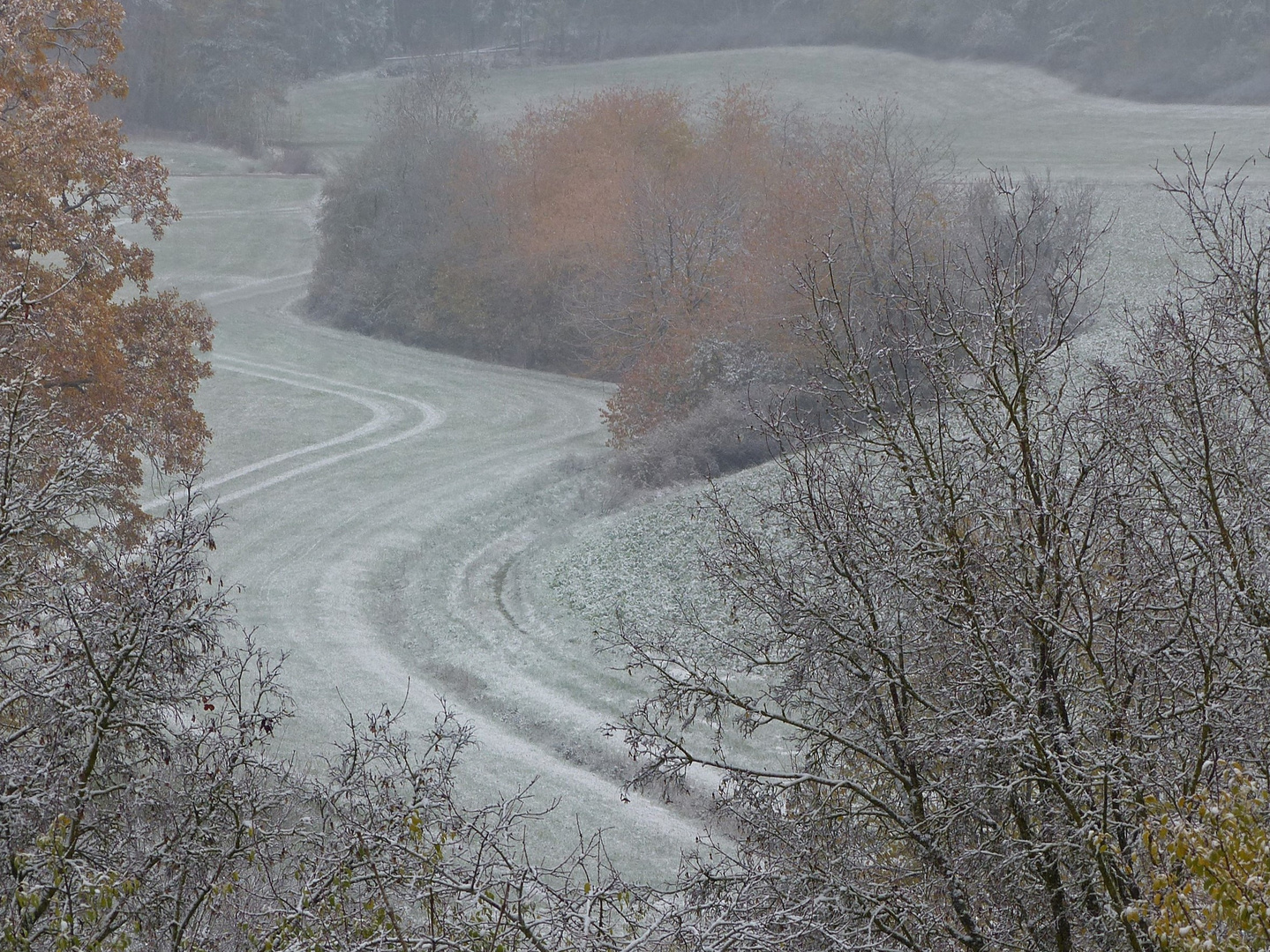 Der erste Schnee Foto & Bild | deutschland, europe, bayern Bilder auf fotocommunity