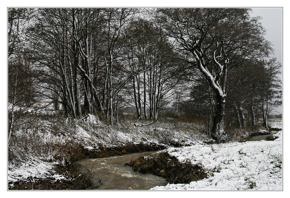der erste Schnee Foto & Bild | deutschland, europe, mecklenburg- vorpommern Bilder auf fotocommunity
