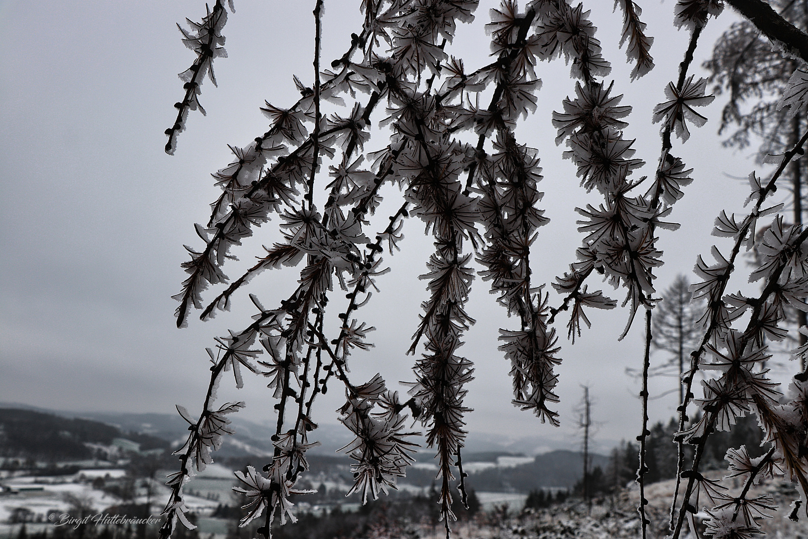Der erste Schnee hat immer etwas magisches Foto & Bild | deutschland, europe, nordrhein ...