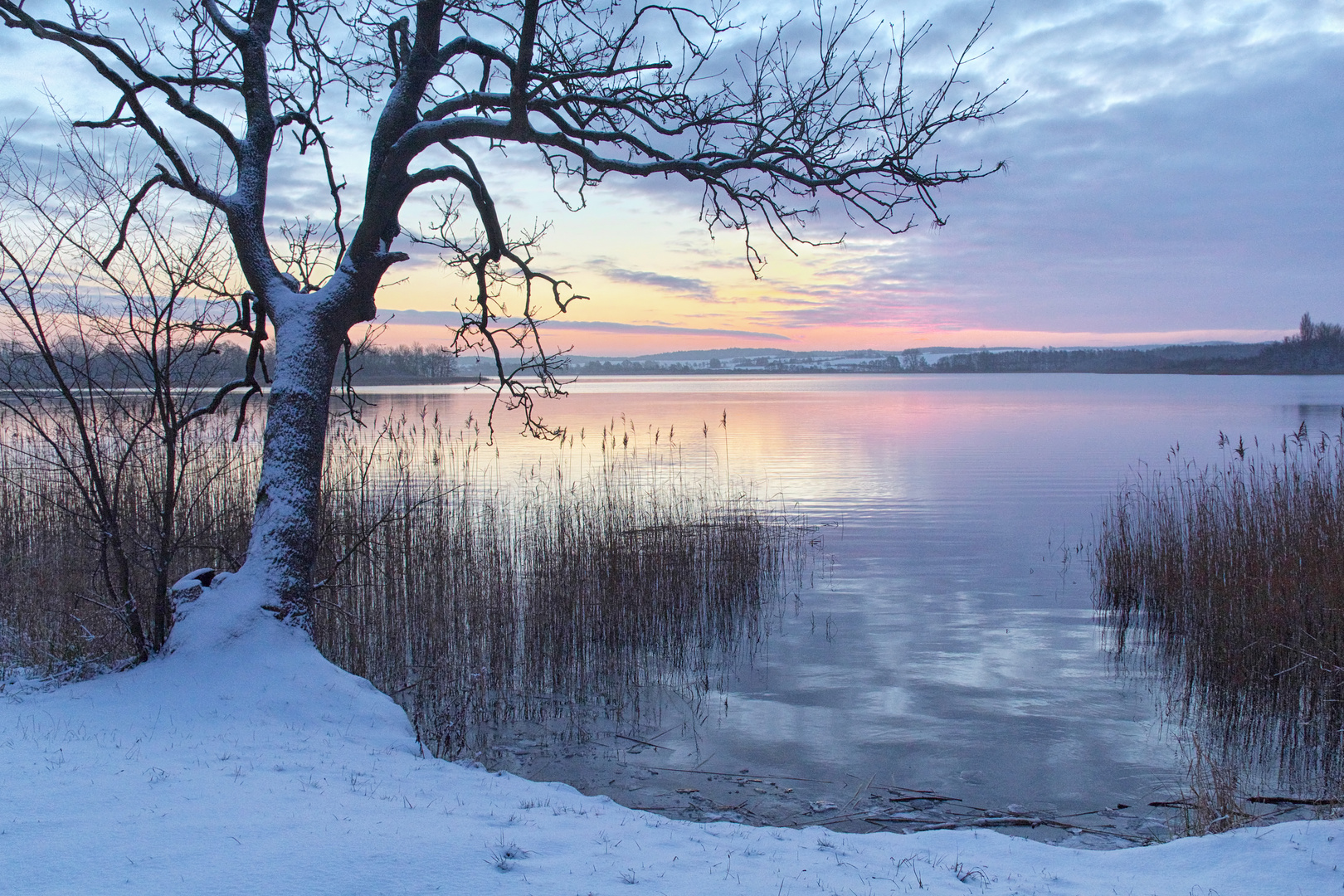 Der erste Wintertag Foto & Bild | jahreszeiten, winter, schnee Bilder ...