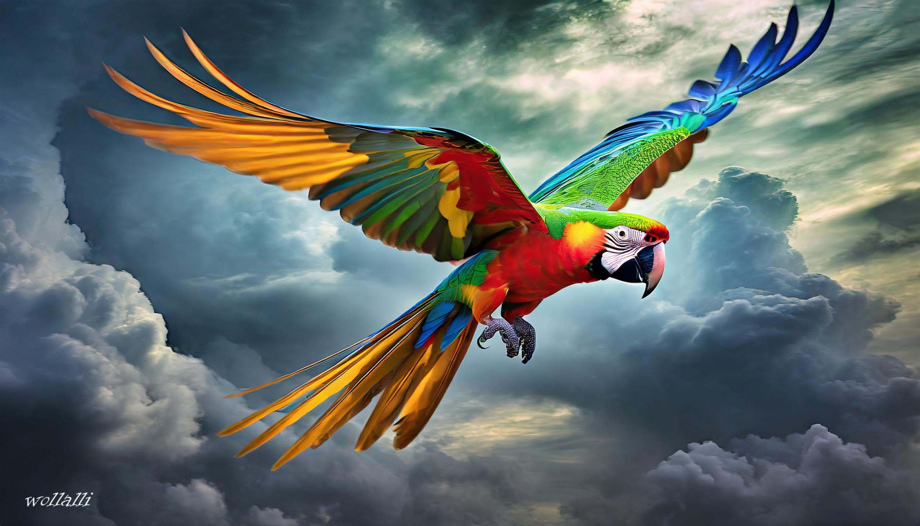 Der farbenfrohe Papagei in den Wolken Foto & Bild | tiere, wildlife ...