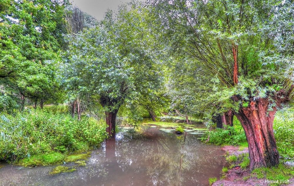 Der Finkenberger Bruch Foto & Bild | natur, landschaft, fluss Bilder ...