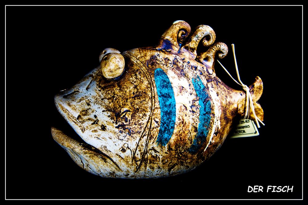 Der Fisch Foto & Bild | stillleben, kunstfotografie & kultur, kleinkunst Bilder auf fotocommunity