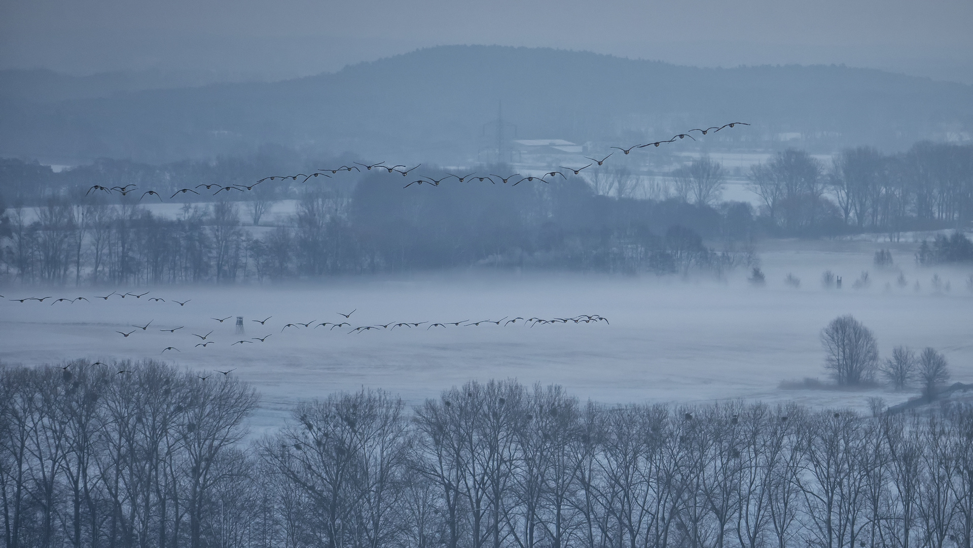 Der Flug Foto & Bild | felder, natur, nebel Bilder auf fotocommunity
