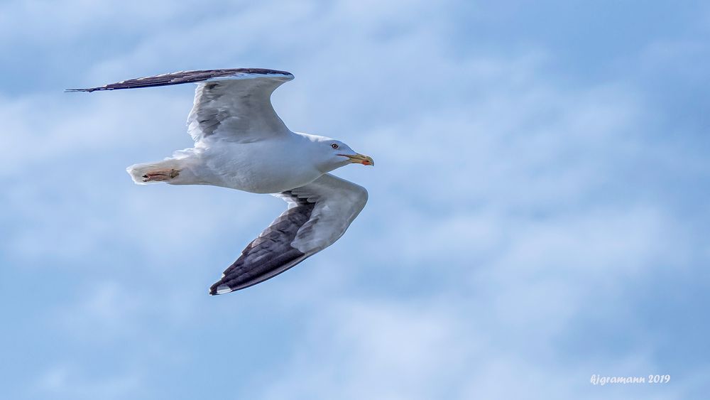 der flug nach..... Foto & Bild | world, wolken, himmel Bilder auf ...