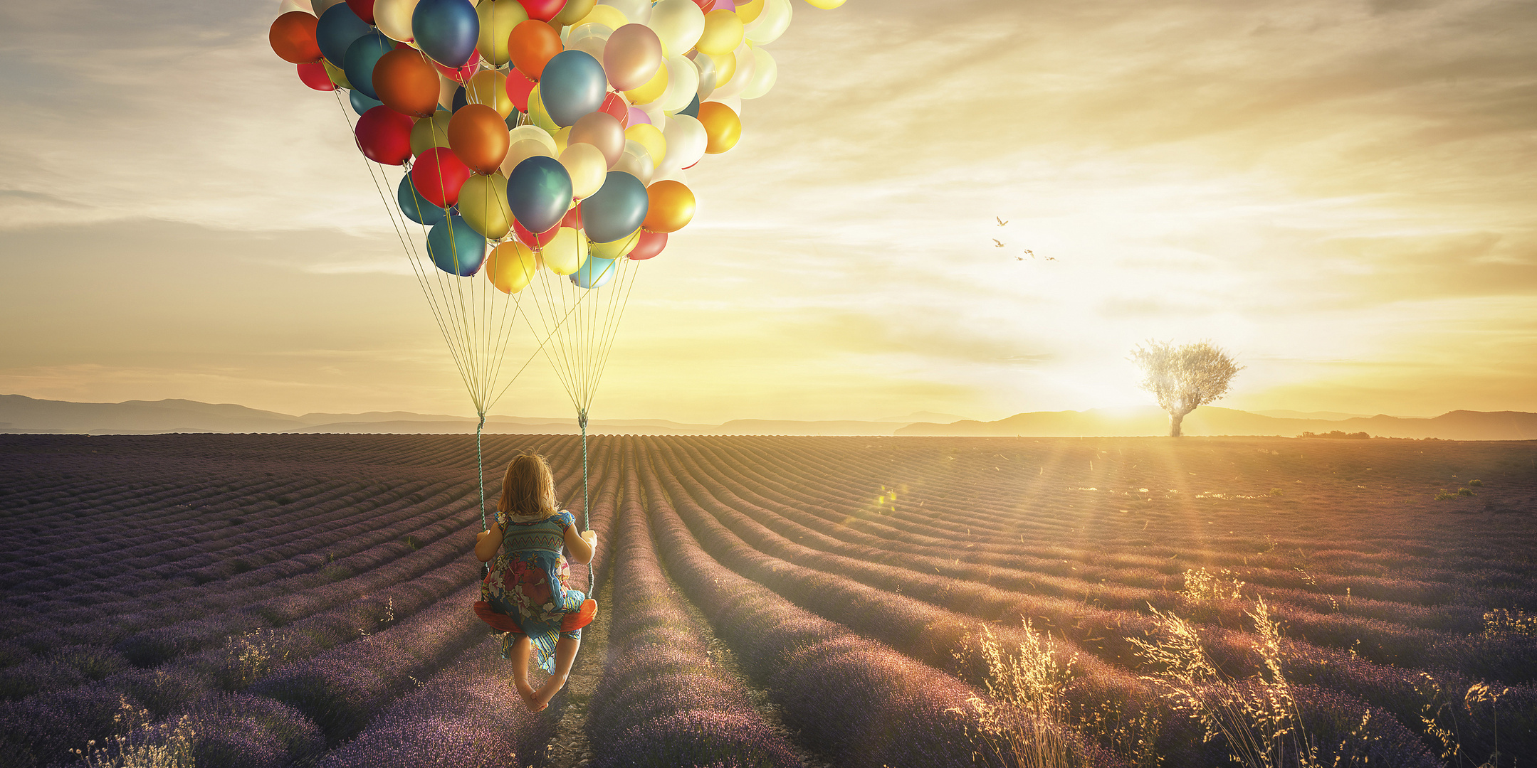 Der Flug über die Provence Foto & Bild | fotomontage, composing, fotos Bilder auf fotocommunity