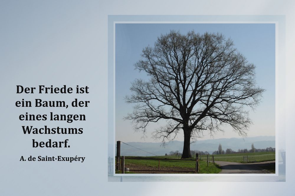 Der Friede... Foto & Bild | redensarten in bildern, specials, spezial ...