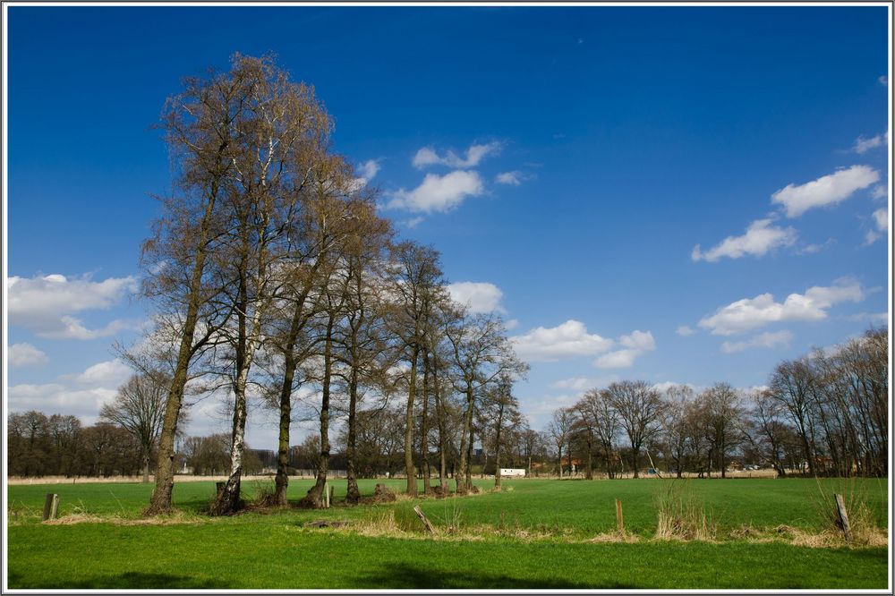 Der Frühling kommt Foto & Bild | jahreszeiten, frühling, lanschaft Bilder auf fotocommunity