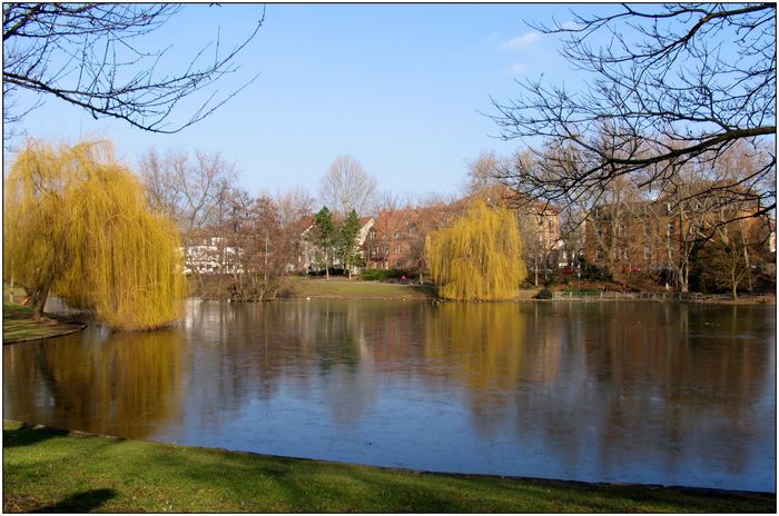 Der Frühling kommt bald... Foto & Bild | jahreszeiten, frühling, natur Bilder auf fotocommunity