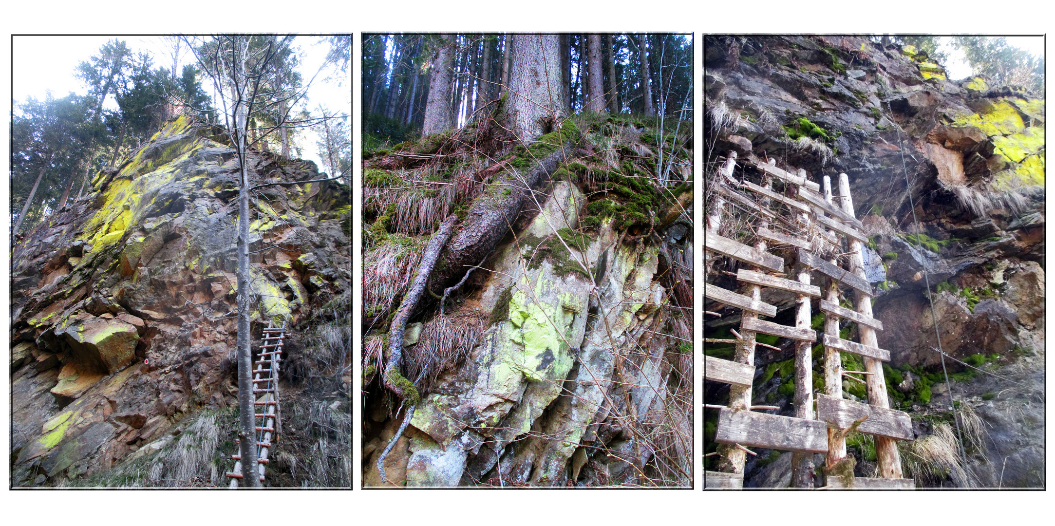 Der gelbe Fels Foto & Bild | landschaften, frühling, natur Bilder auf ...