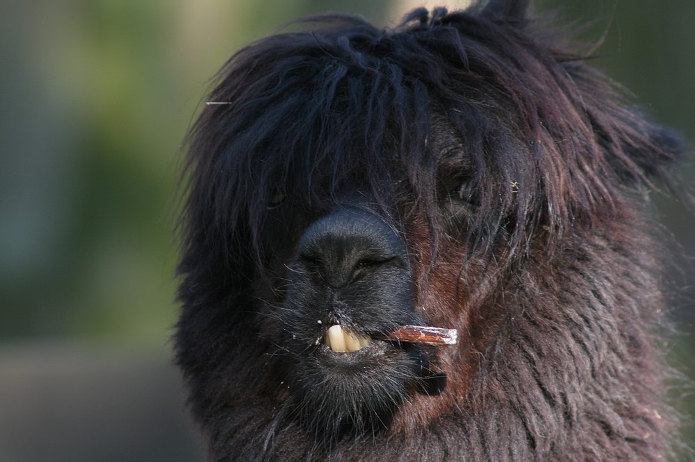 Der Gesundheitsminister warnt: Rauchen gefährdet Ihre Gesundheit Foto ...